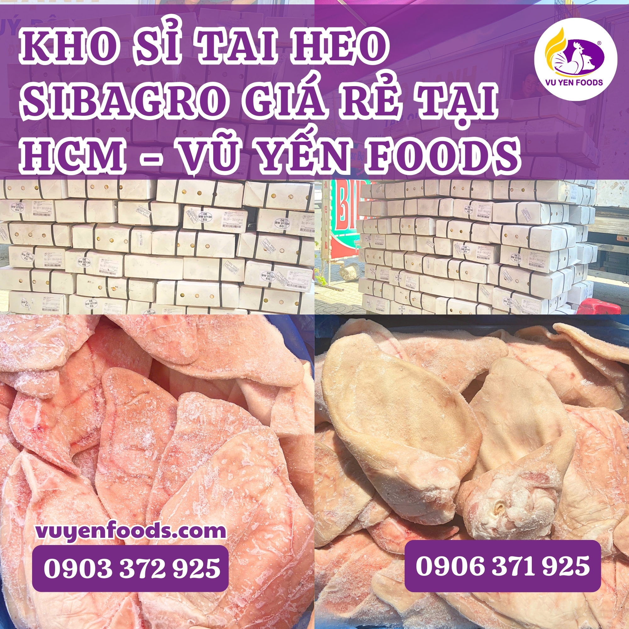 KHO SỈ TAI HEO SIBAGRO GIÁ RẺ TẠI HCM